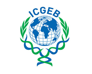 19th International p53 workshop – AIBG